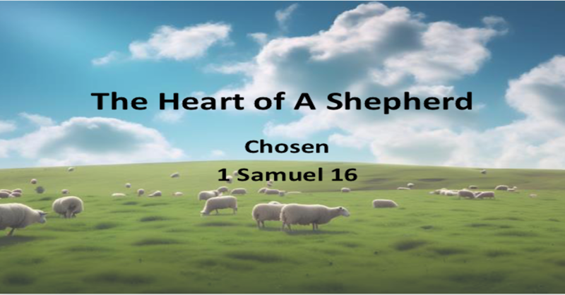 Sermons | Salt Creek Baptist Church